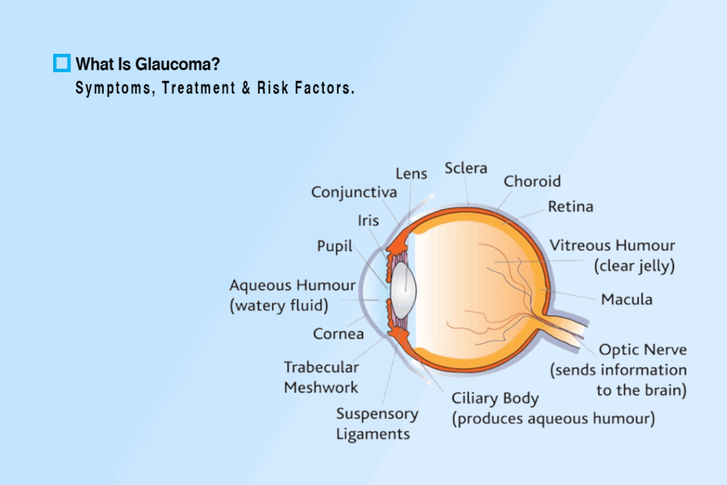 Effective Glaucoma Treatment in Mumbai | Tandon Eye Hospital